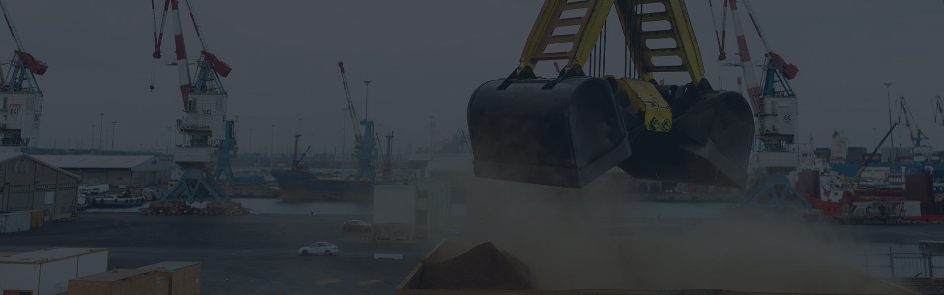 Bulk Cargo Stevedoring – FocusTrans Tech